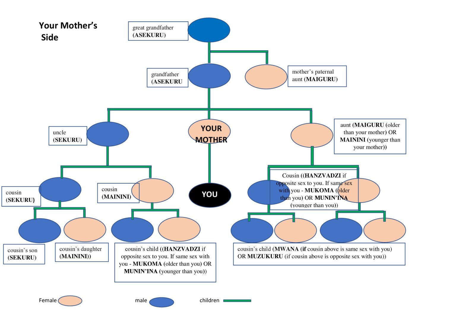 Ukama| 5 rules to understand Shona family vocabulary - ZimbOriginal