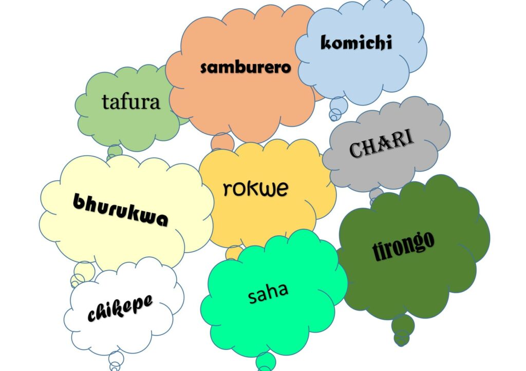 63 Shona words you didn’t know were borrowed from Afrikaans - ZimbOriginal