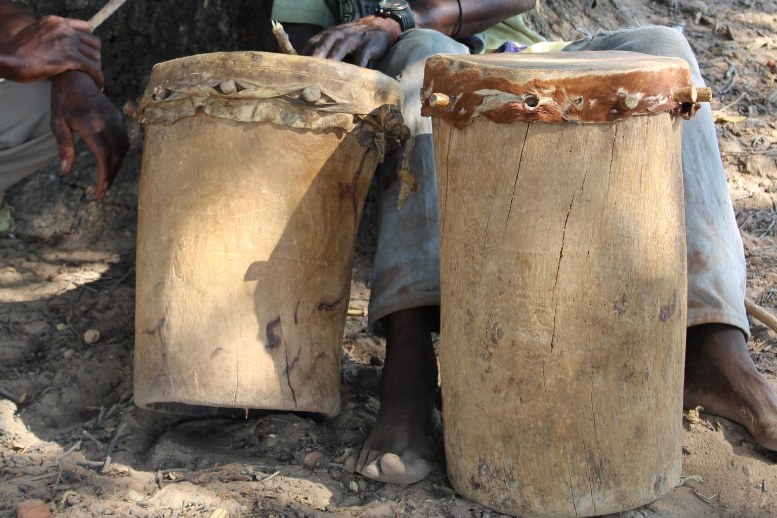 Chandiwana nhasi, chichazokuwanawo mangwana. - ZimbOriginal