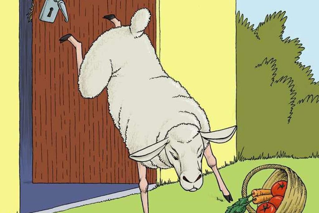 Shona Nyaudzosingwi: 101 Verb Examples - ZimbOriginal