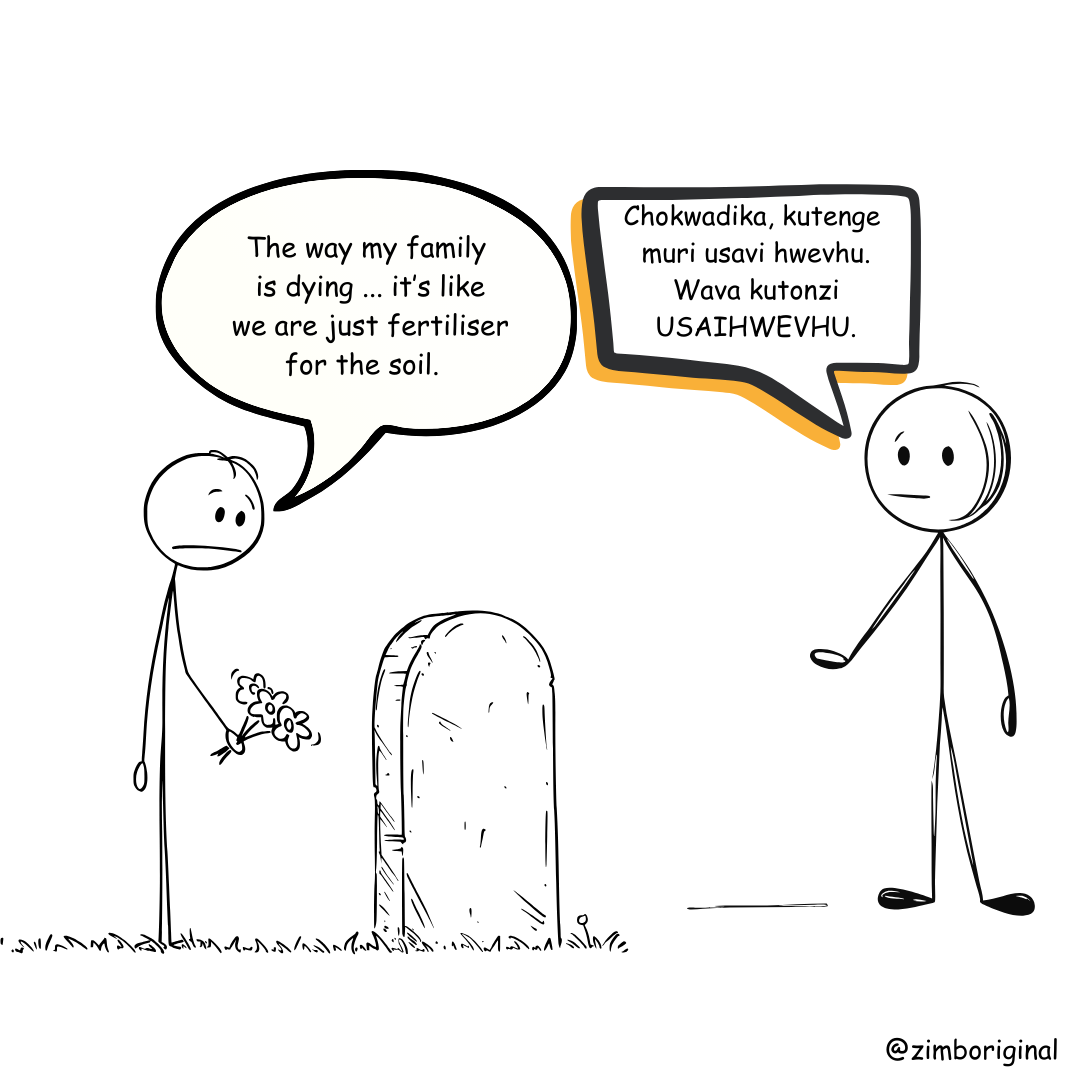 An interesting look at Shona names - ZimbOriginal