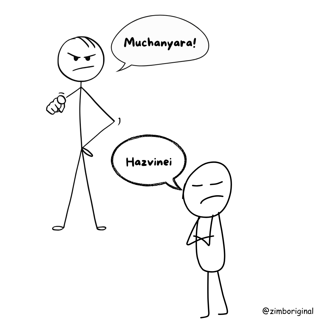 An interesting look at Shona names - ZimbOriginal